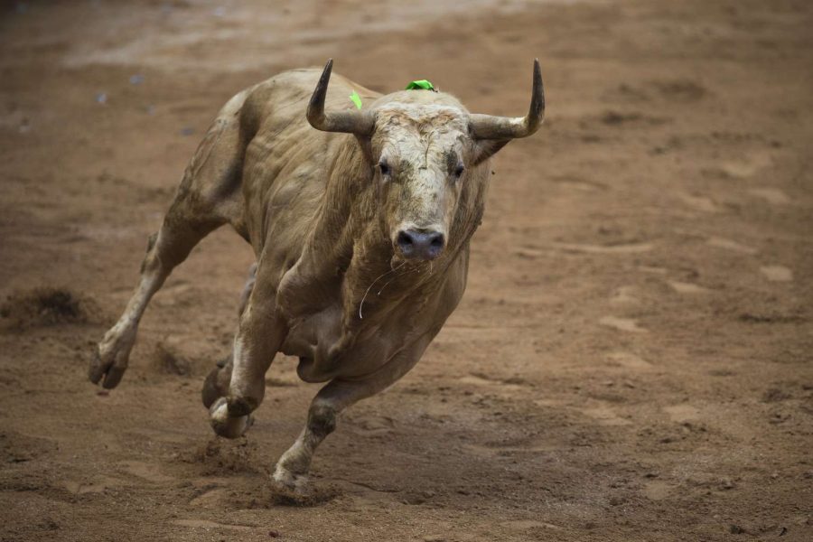 Bulls on rampage, surge pushes market cap over N12 trillion - Nairametrics