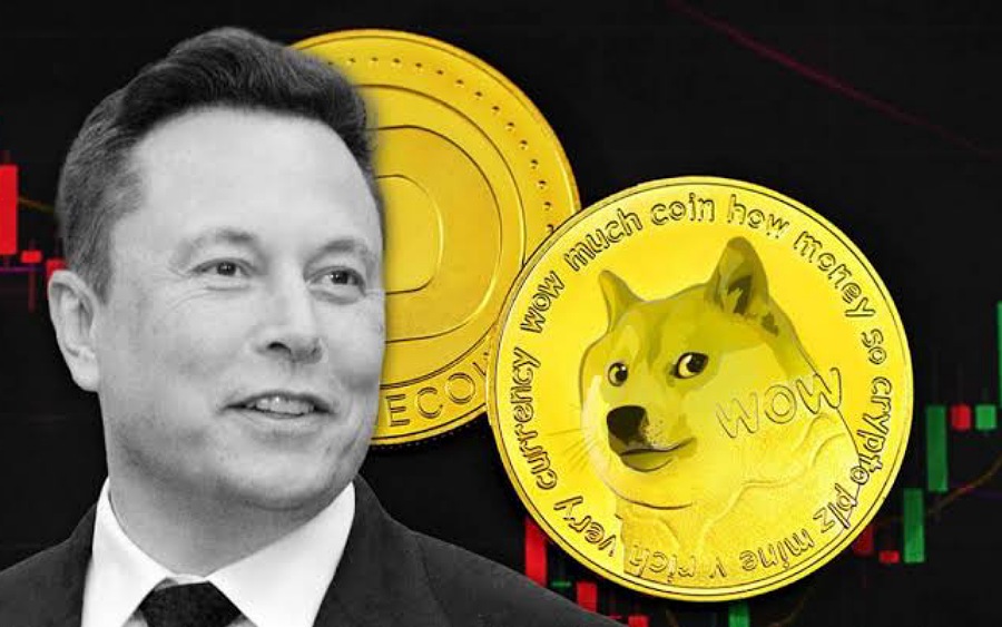 Dogecoin rallies 20% as payment option is now available at Tesla stores ...