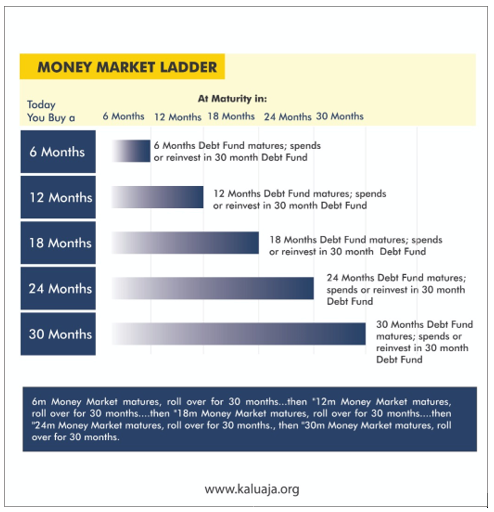 What you need to know about fixed income investing - Nairametrics