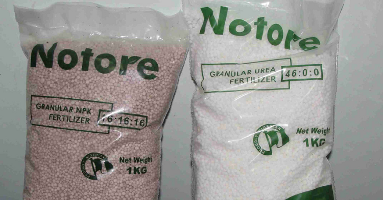 Notore: It’s beginning to add up - Nairametrics