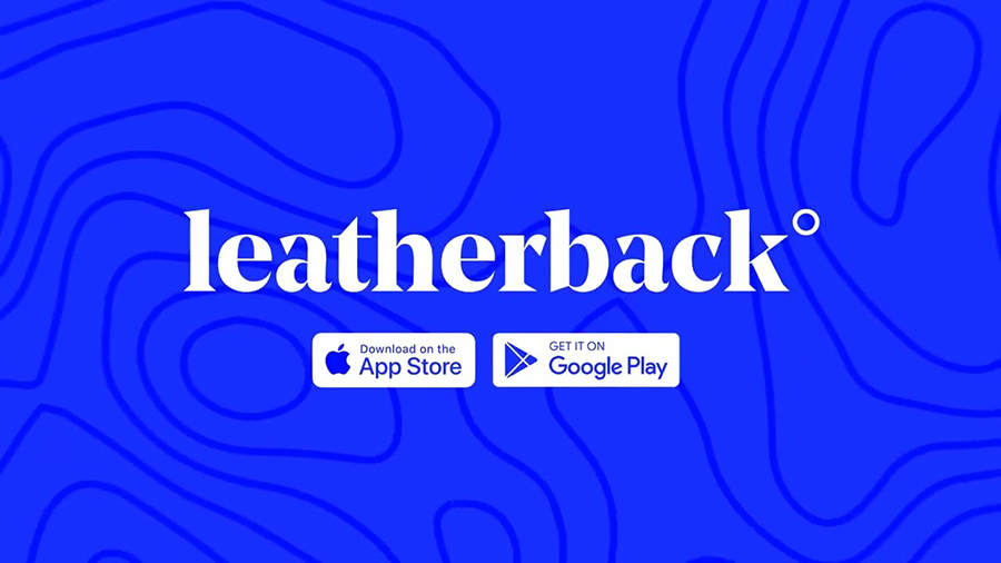 Possibilities on the Leatherback App - Nairametrics