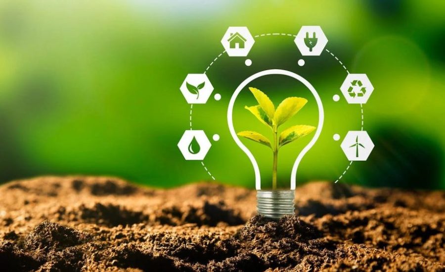 Sustainability in today’s rapidly changing business environment ...