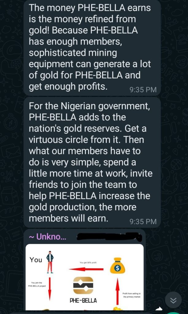 Inside “PHEBELLA”, “RIO TINTO”, “TECK”, the new Ponzi Schemes promising tantalizing returns ...