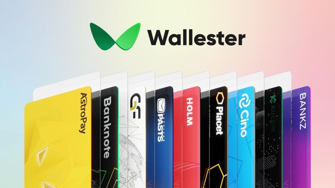 Wallester white-label solution: Benefits of white-label solutions for ...