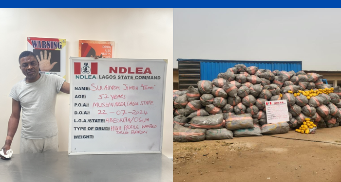 NDLEA arrests Temo, multi-billion naira drug cartel kingpin - Nairametrics