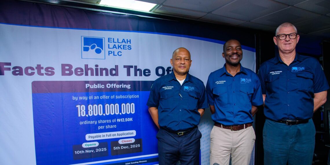 Ellah Lakes Plc launches N235 billion equity raise to accelerate growth ...
