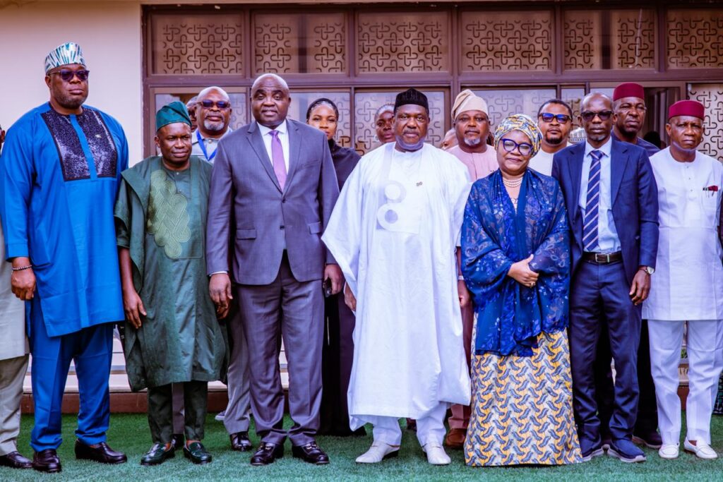 FG sets up committee to review $200 billion proposed gas, power and ...
